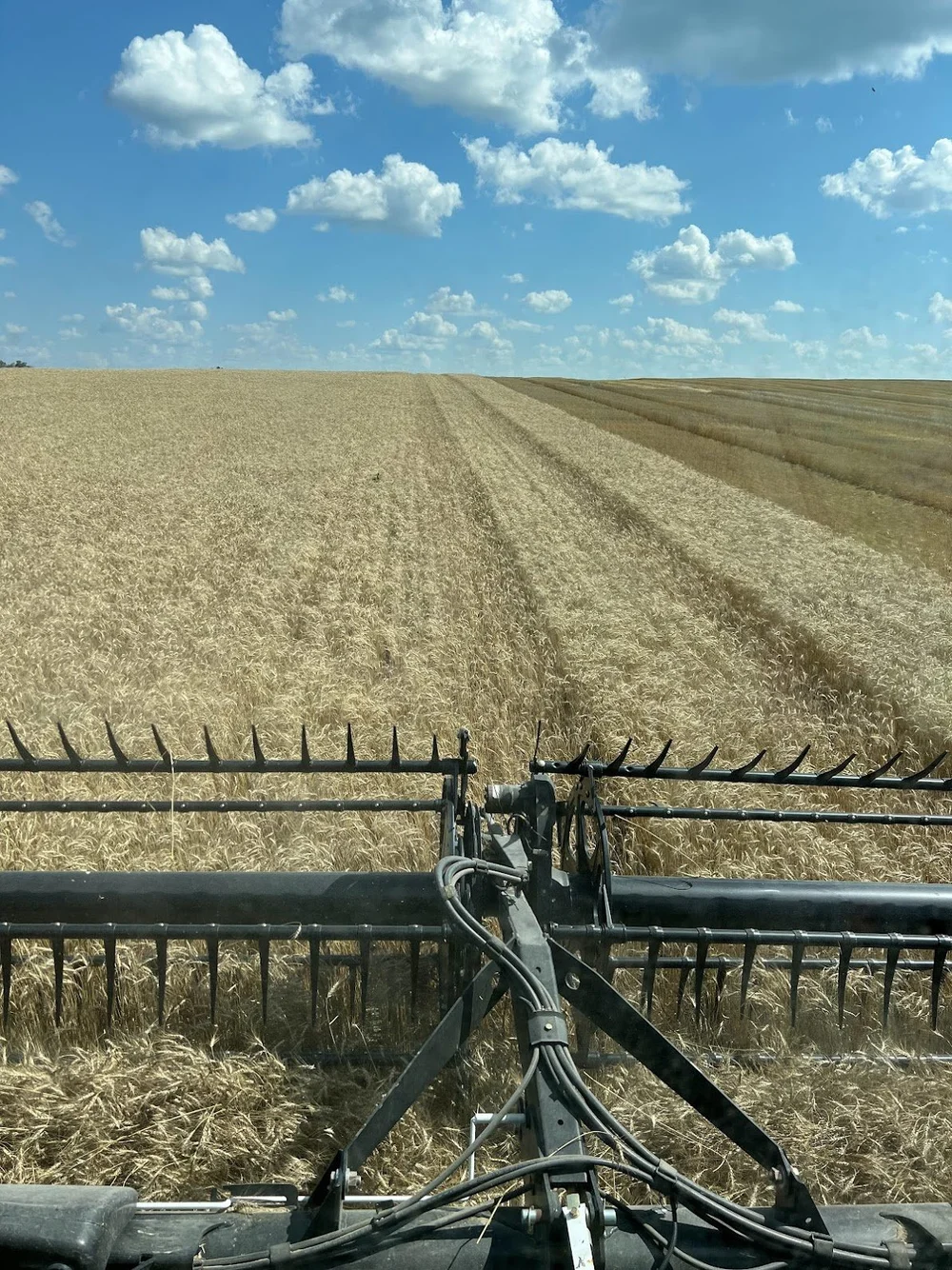 Blake and Sally Hollis — Iowa Learning Farms