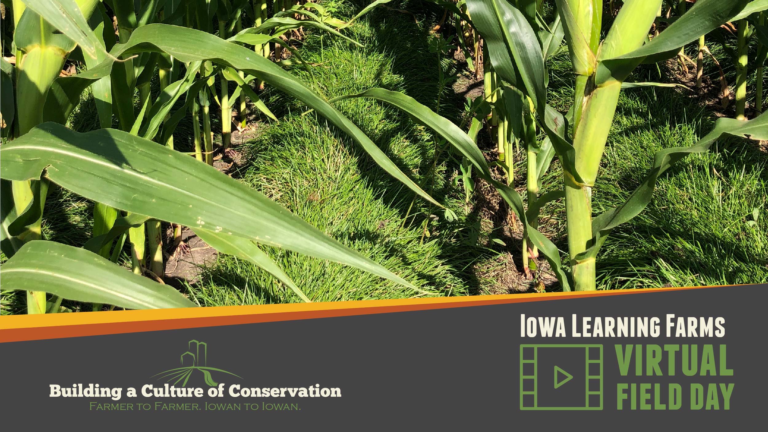 Events — Iowa Learning Farms