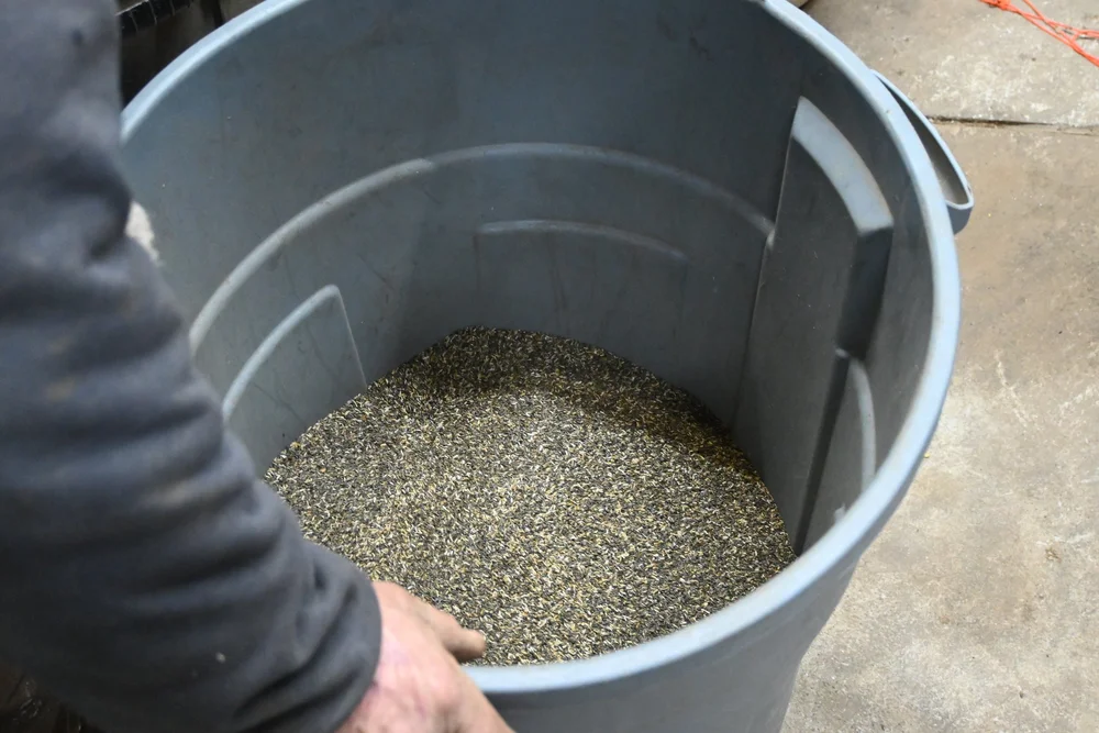 Bill Buman — Iowa Learning Farms