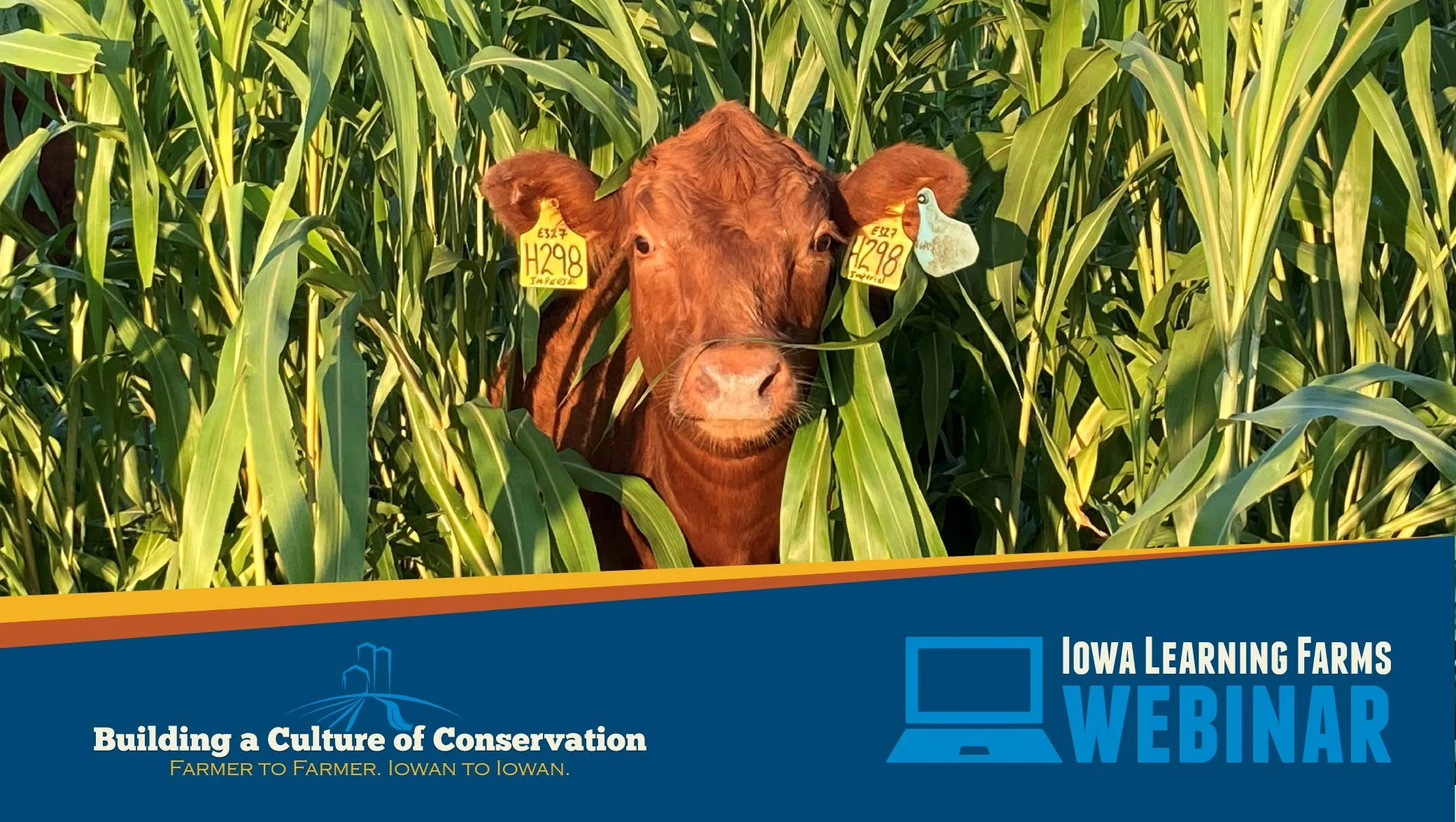 Events — Iowa Learning Farms