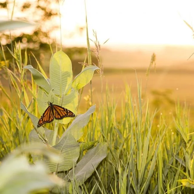 Events — Iowa Learning Farms
