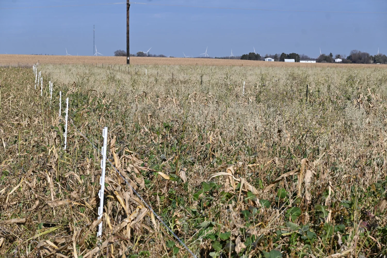 Alec Amundson — Iowa Learning Farms