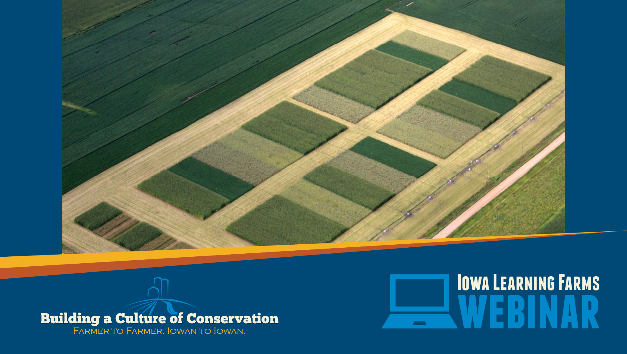 Cover Crops — Iowa Learning Farms