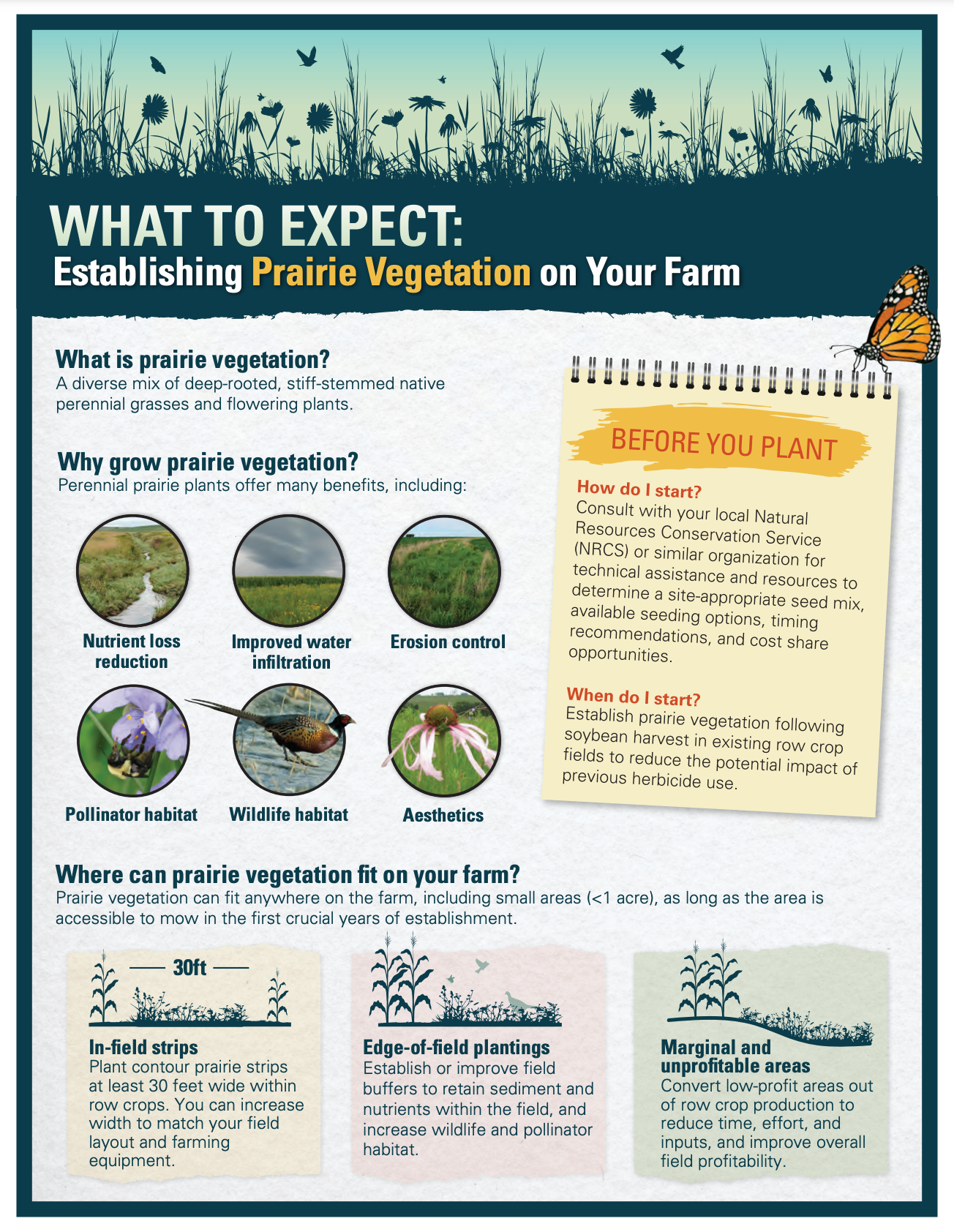 What to Expect: Establishing Prairie Vegetation on Your Farm — Iowa ...