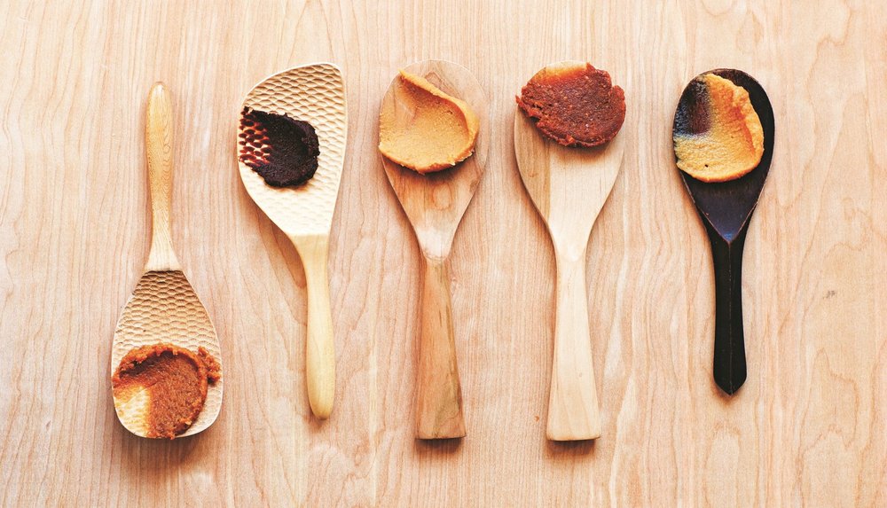 What is miso ? — Miso Tasty