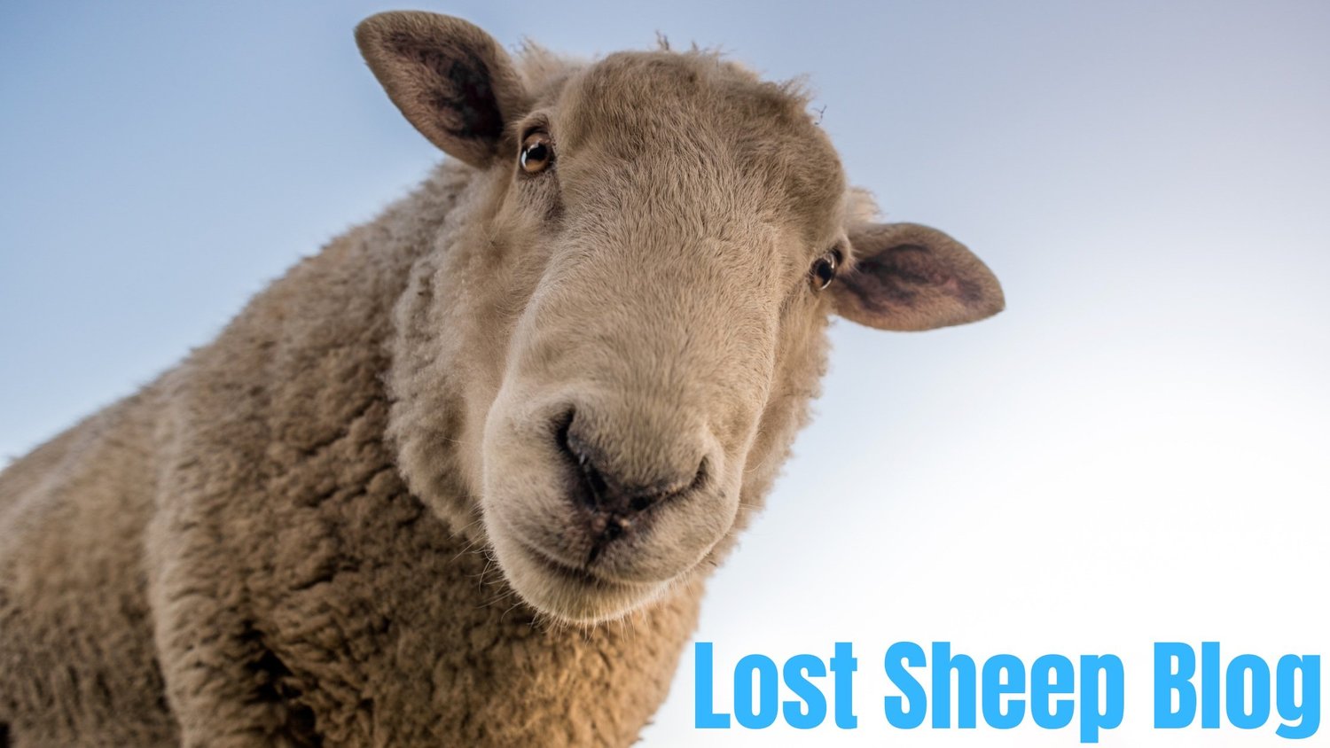 The Unforgivable Sin — Lost Sheep Blog