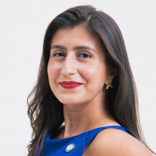 Karen Lin for Judge, Queens Civil Court