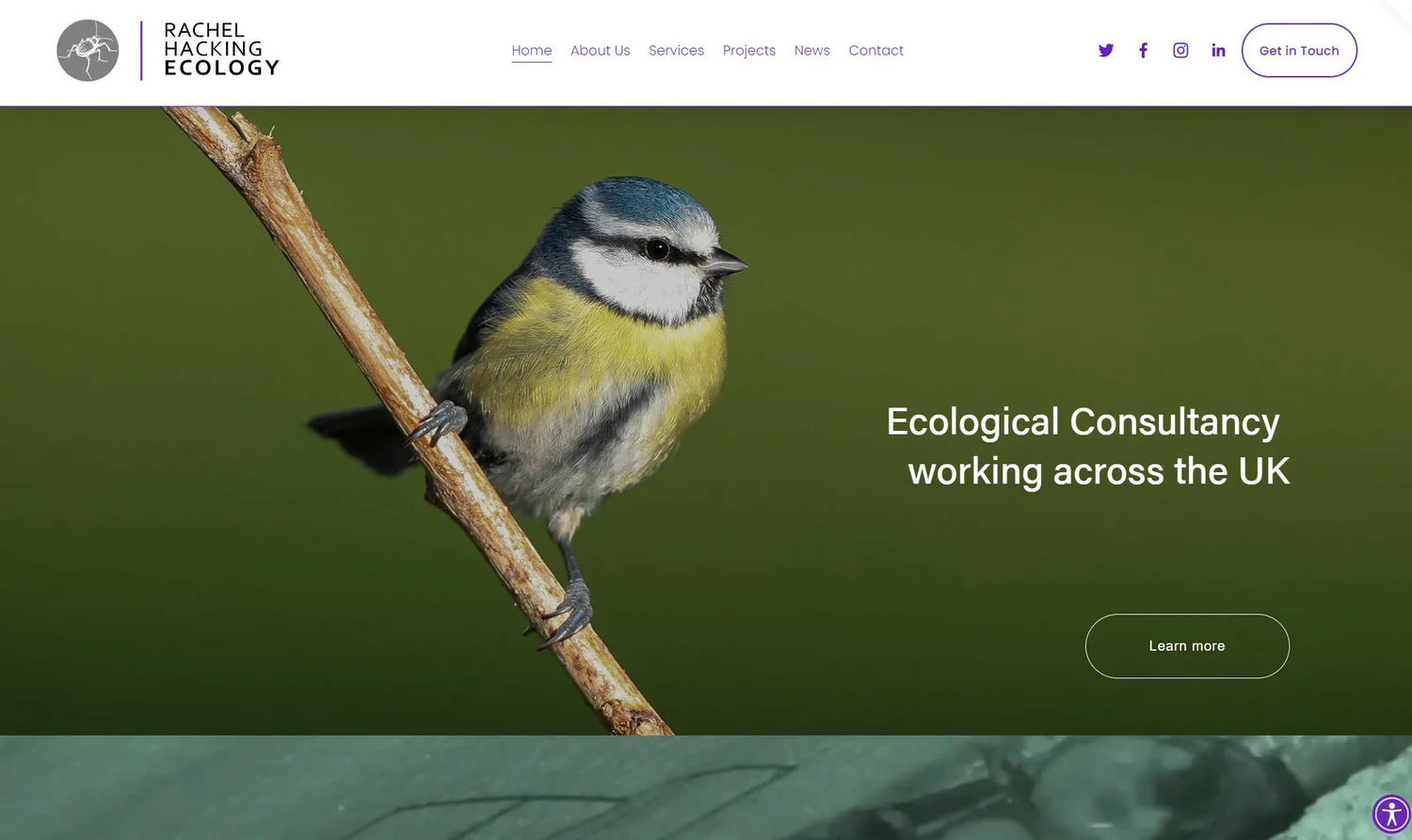 Website Launch — Rachel Hacking Ecology