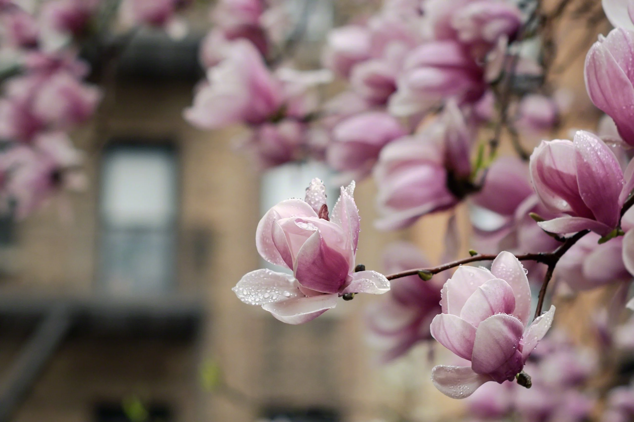 In Nature — Photography by Kristina Clark