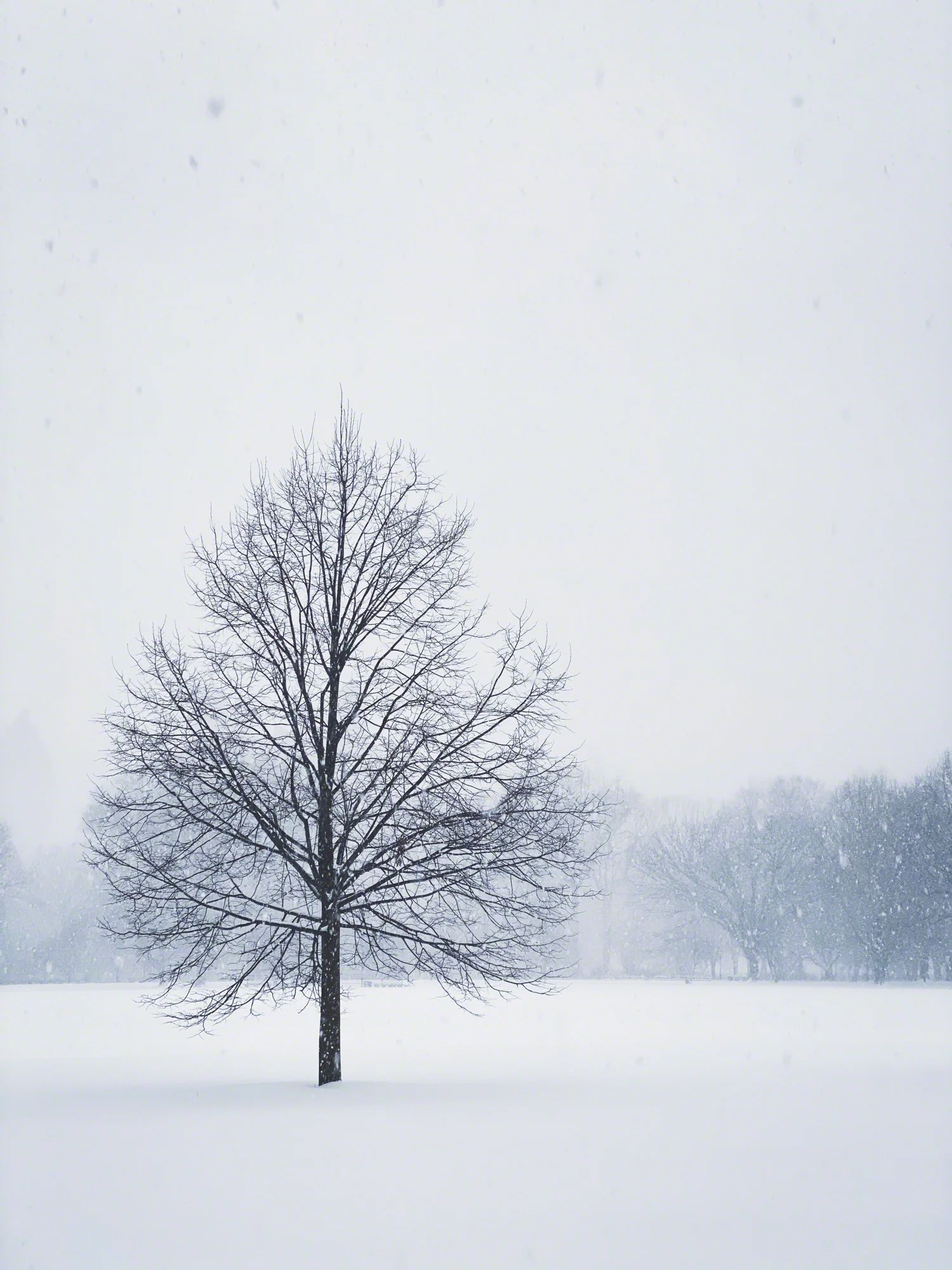 In Nature — Photography by Kristina Clark