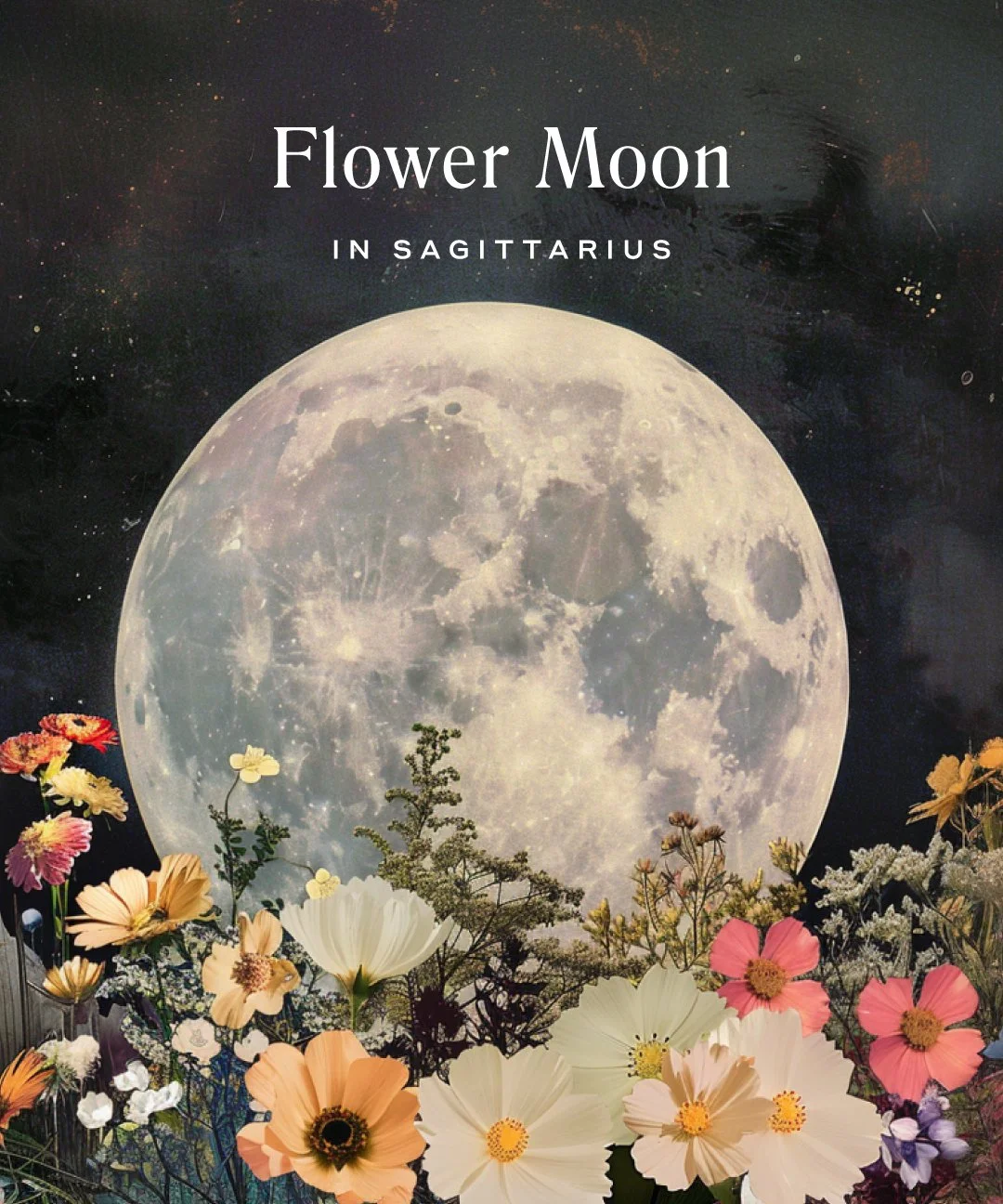 Flower Moon 2024 — The Paganista