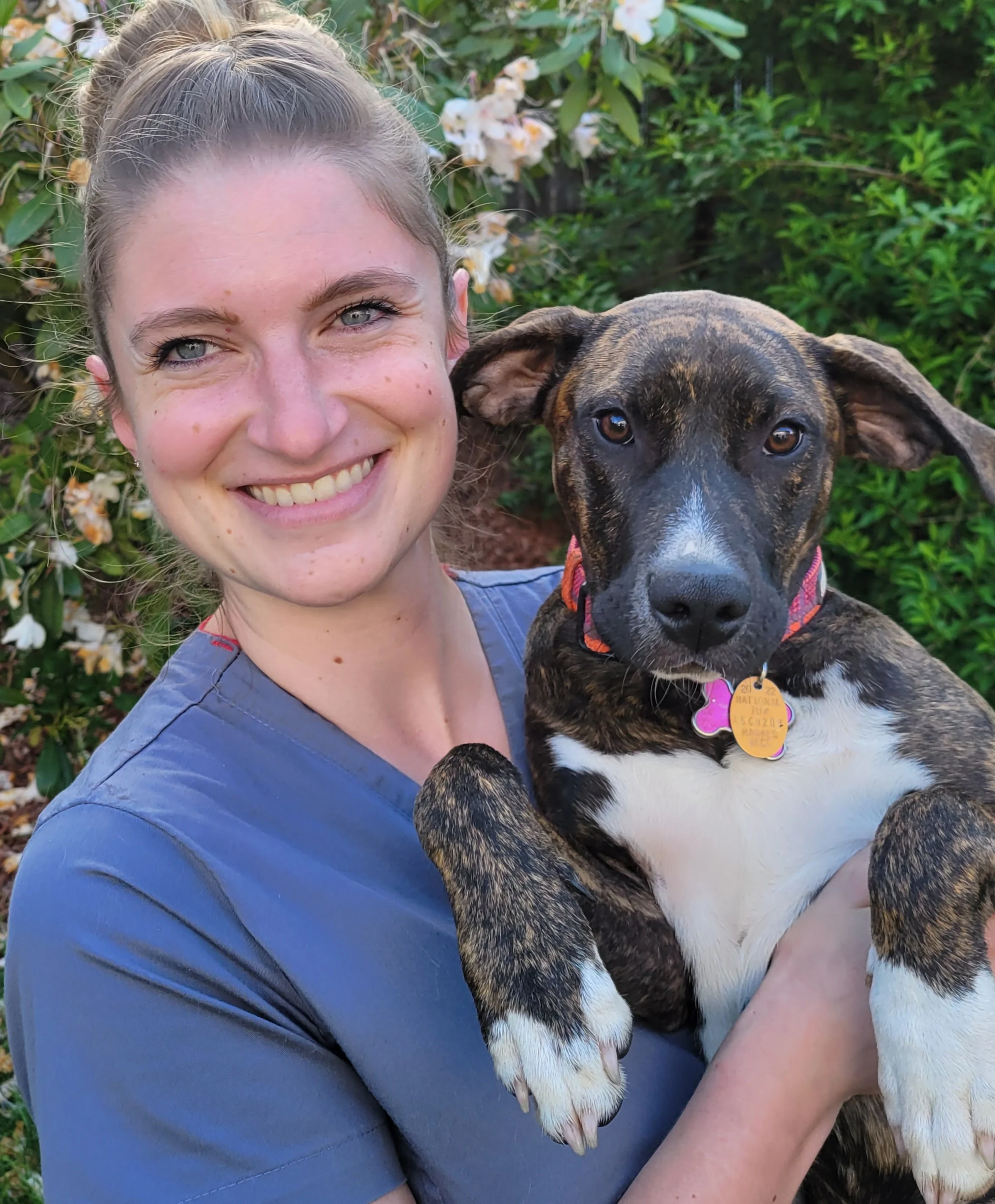Our Team — Seattle Veterinary Outreach