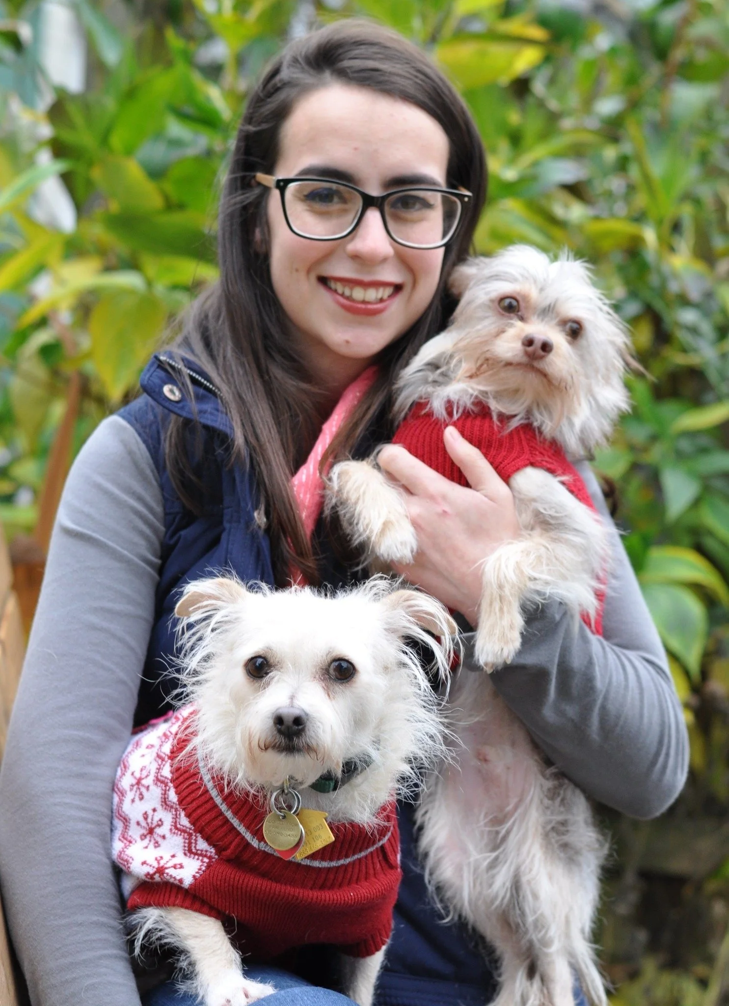 Our Team — Seattle Veterinary Outreach