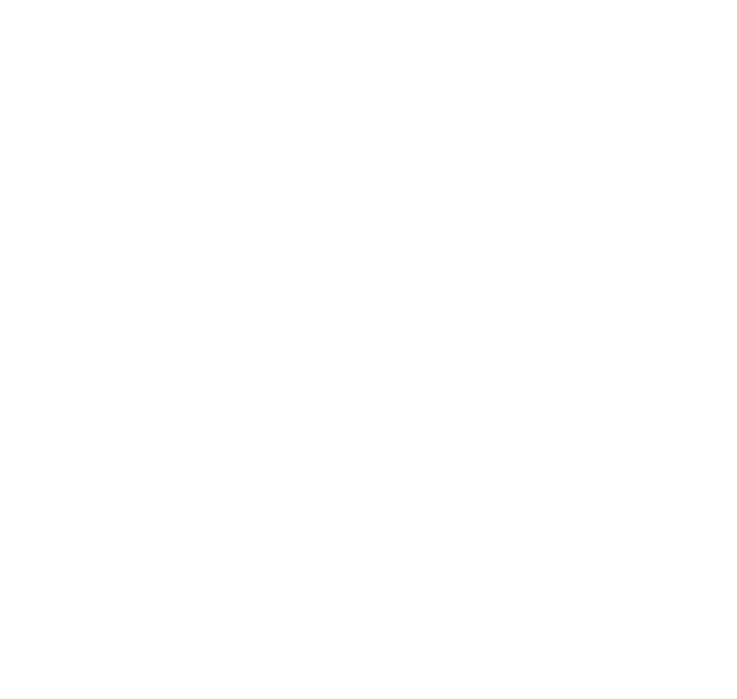 Treston Security Services