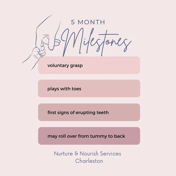 5 Month Developmental Milestones