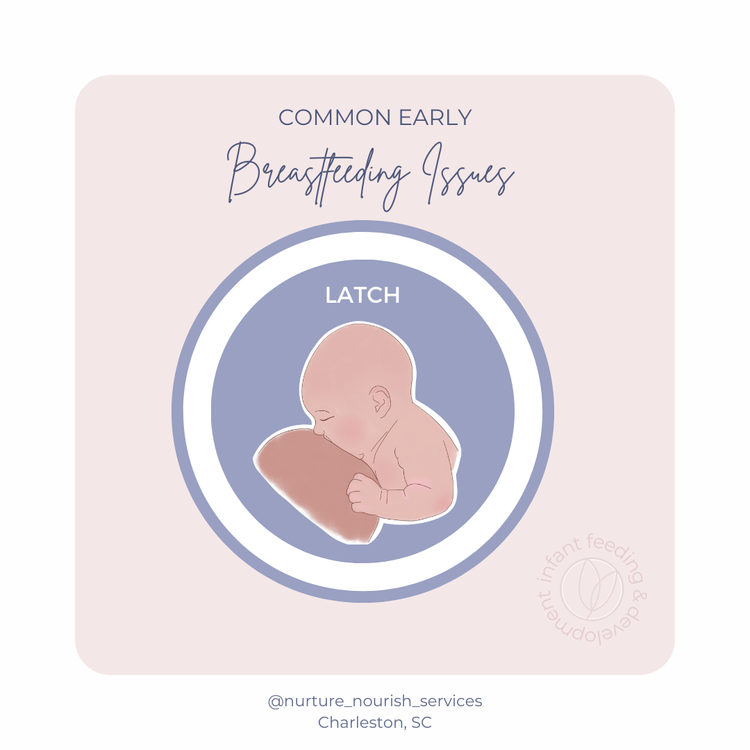 Newborn Breastfeeding Support - Mt. Pleasant, SC