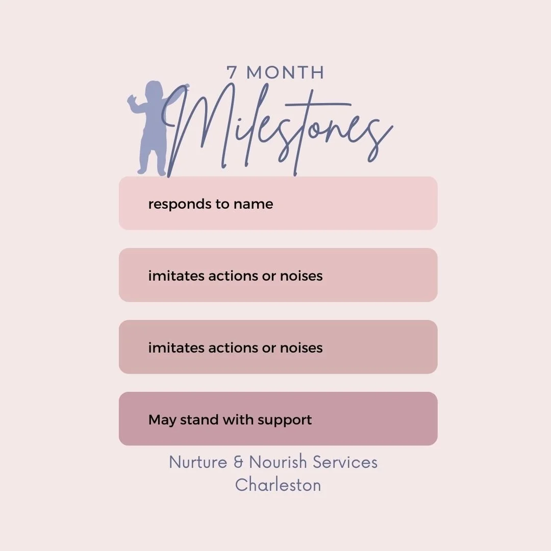 7 Month Developmental Milestones