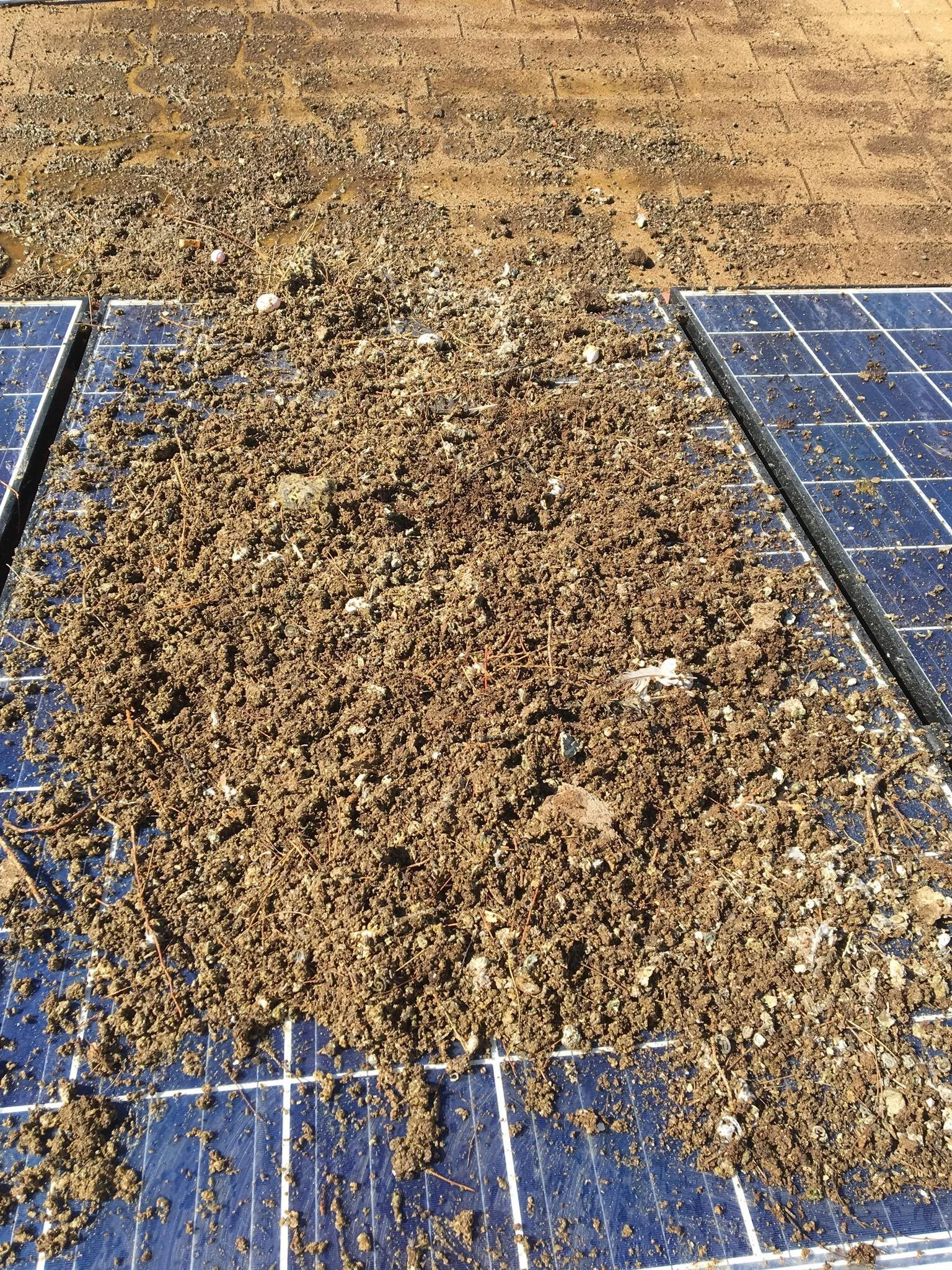 PJ Solar Cleaning & Bird Proofing - Solar Panel Cleaner | Excellent Reviews