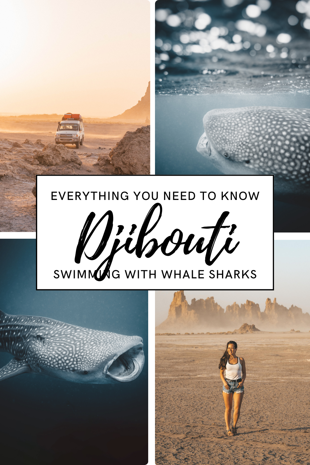 Everything You Need to Know about Djibouti — Anna Round the World