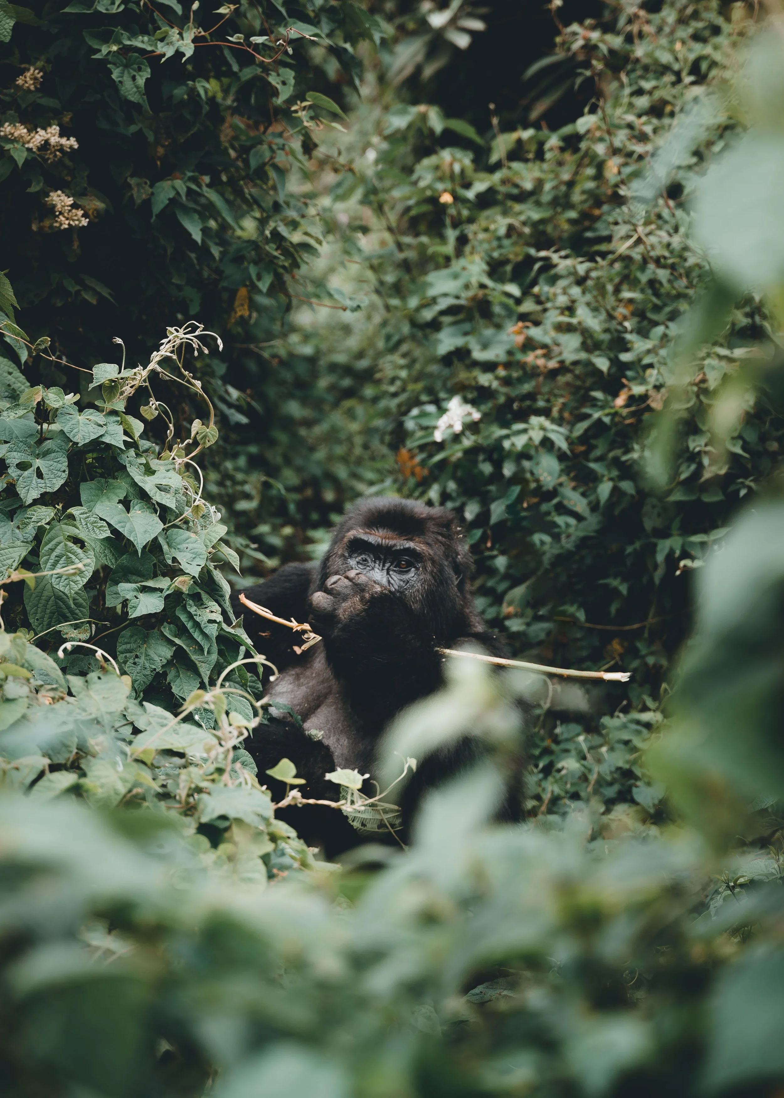 Destinations — Anna Round the World