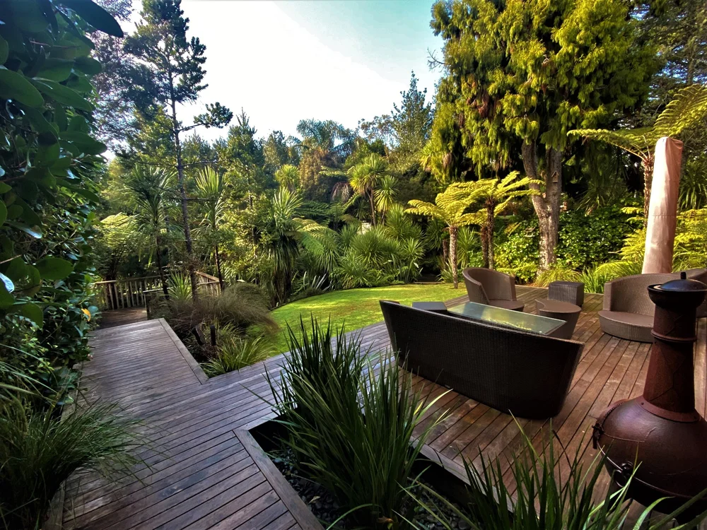 Lush N Leafy Landscapes