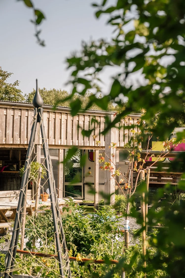 Kitchen Garden — Bert's
