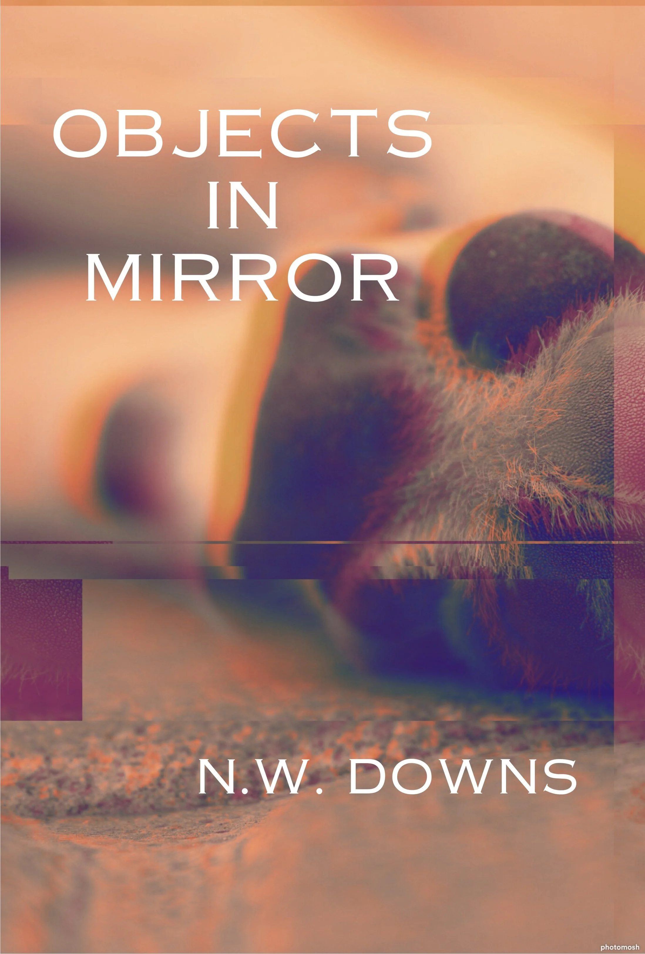 Objects in Mirror by N.W. Downs — Querencia Press