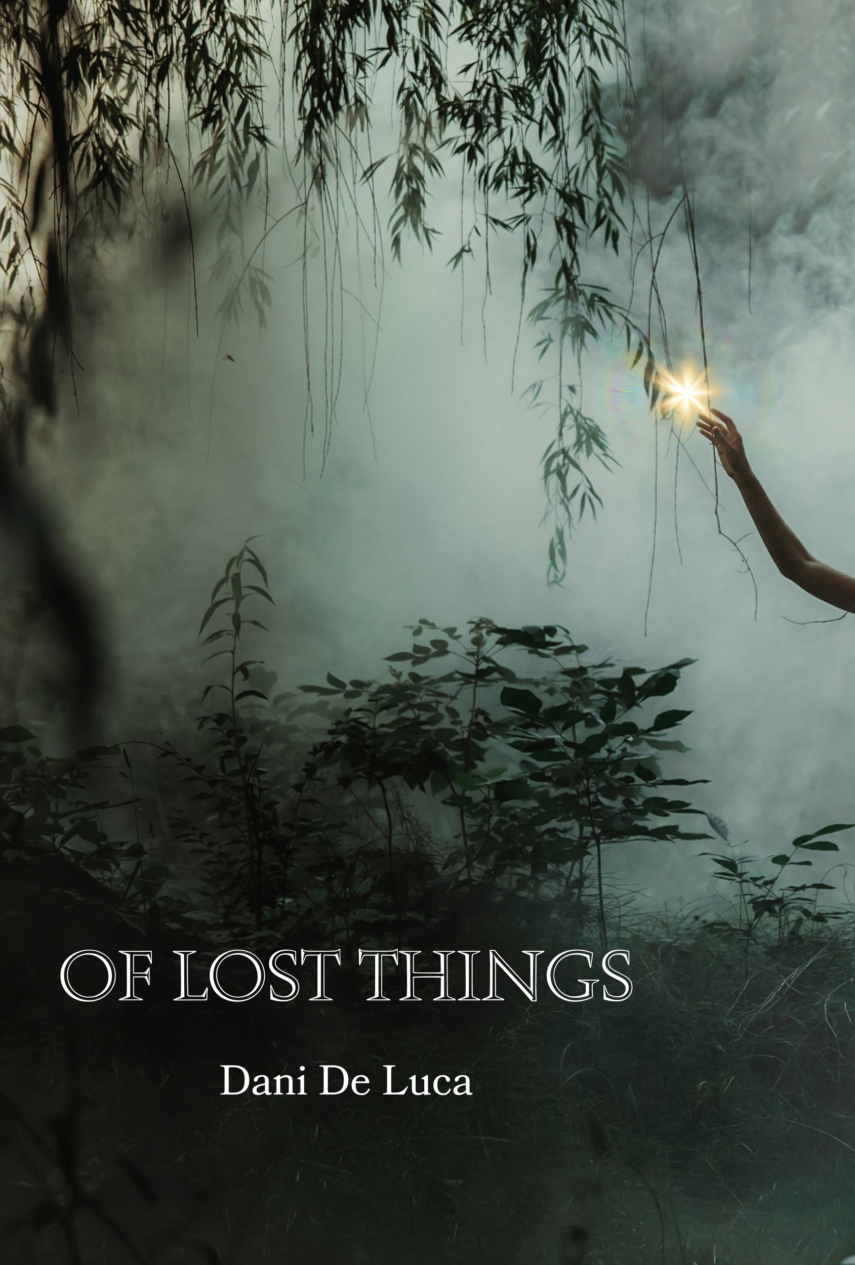 Of Lost Things by Dani De Luca — Querencia Press