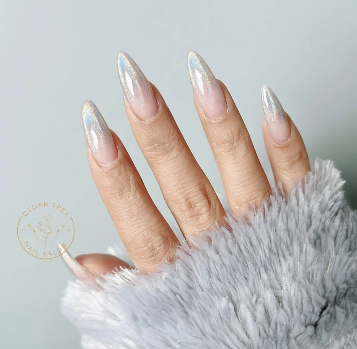 Cedar Tree Nail Salon