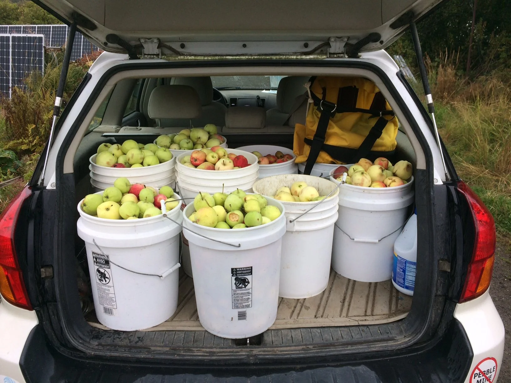 About — Oceanside Farms