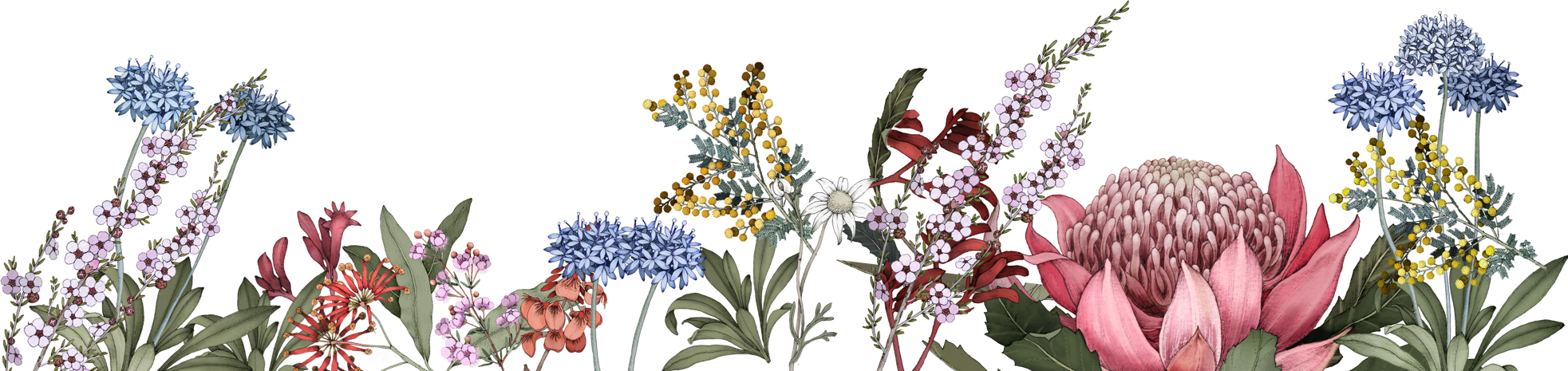 The Lost Flowers of Alice Hart — Holly Ringland