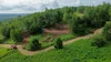 From Vision to Reality: The Journey of Trail Building - Key Steps ...