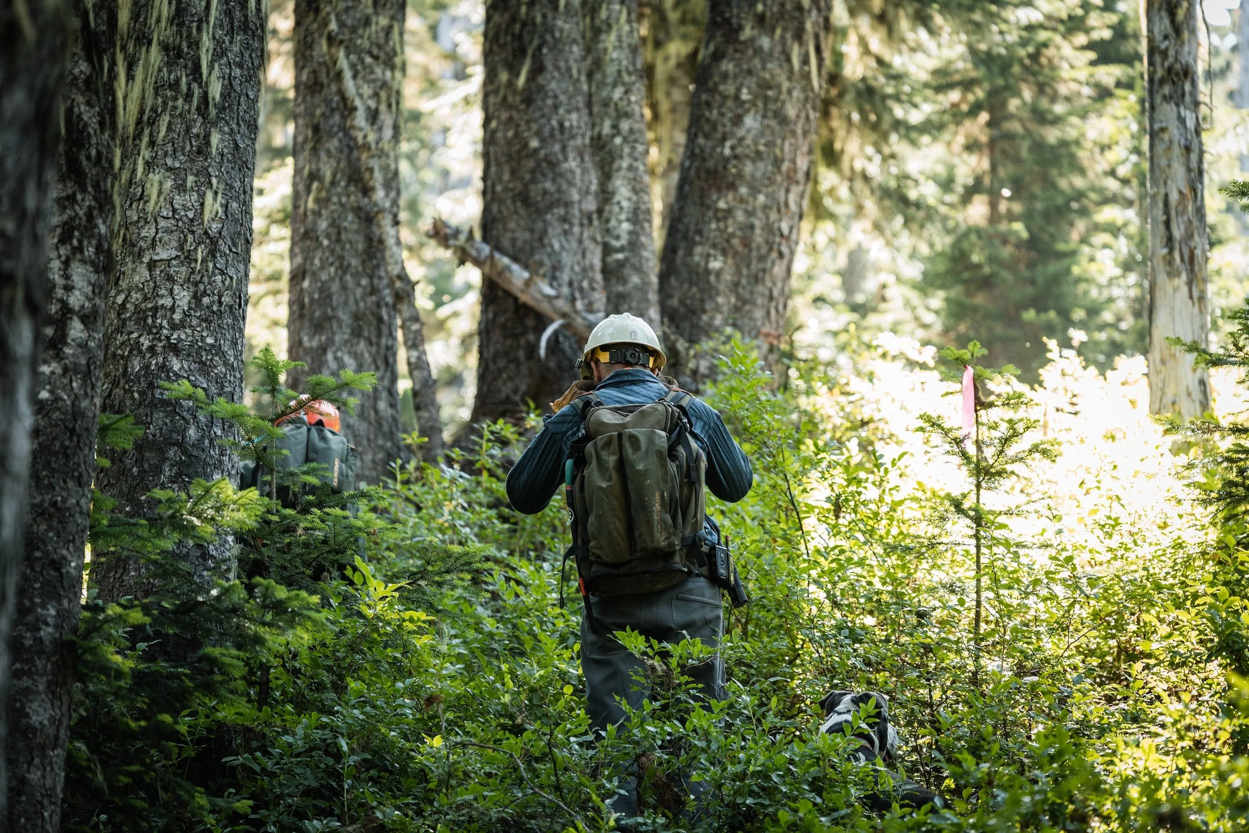 Unsanctioned: Building the Trails That Didn’t Exist — Trail Builder ...