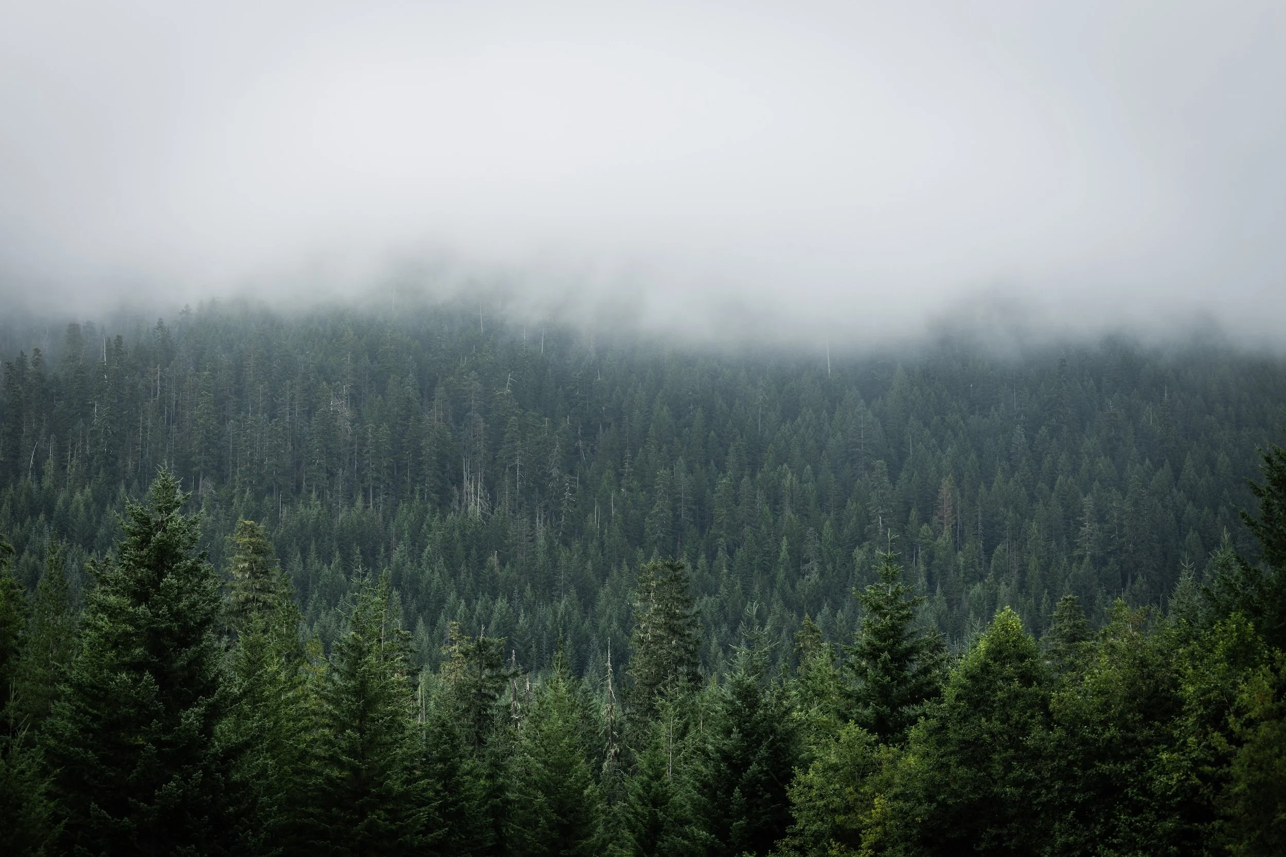 Unsanctioned: Building the Trails That Didn’t Exist — Trail Builder ...