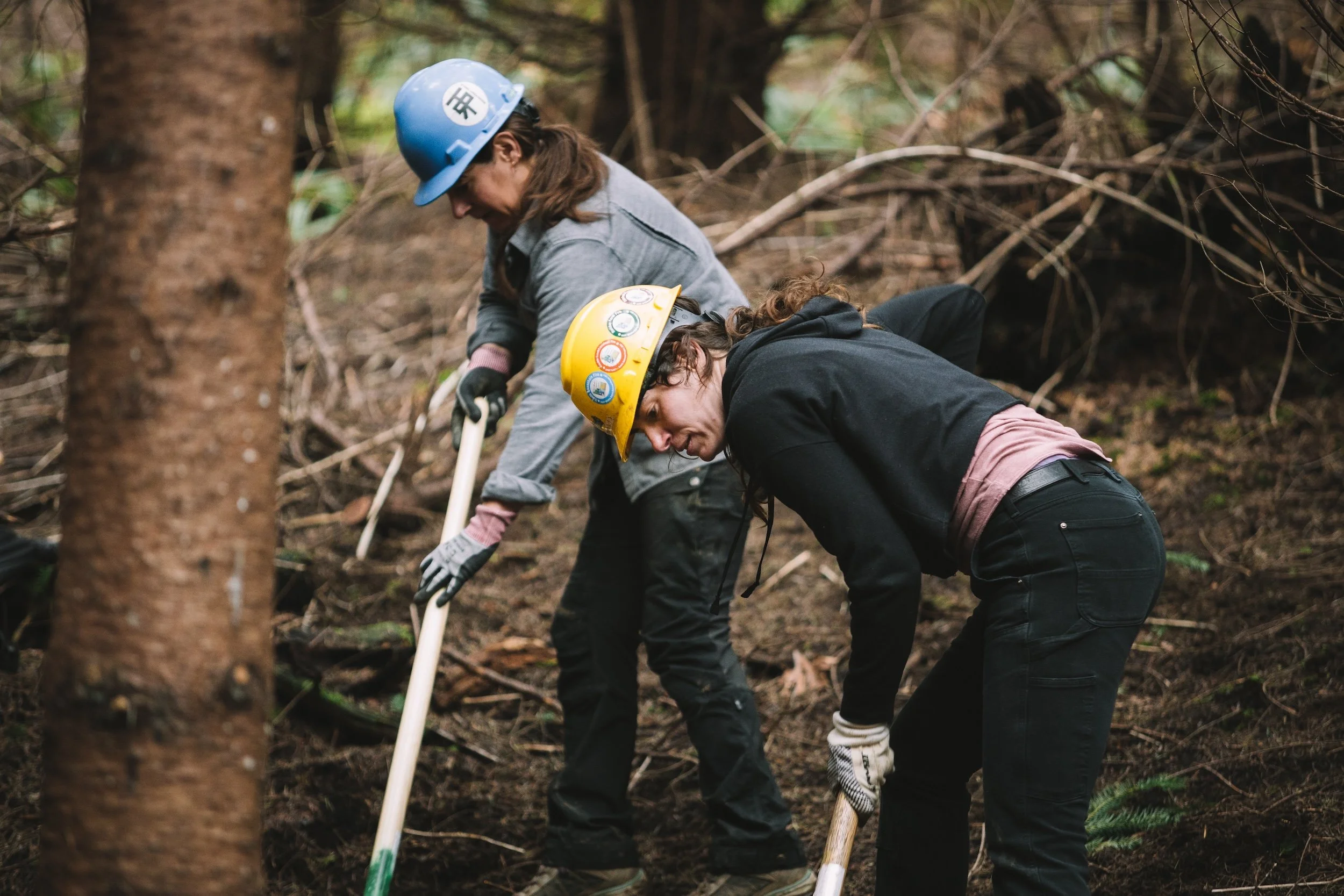 5 Ways to Grow Your Volunteer Trail Work Parties — Trail Builder Magazine