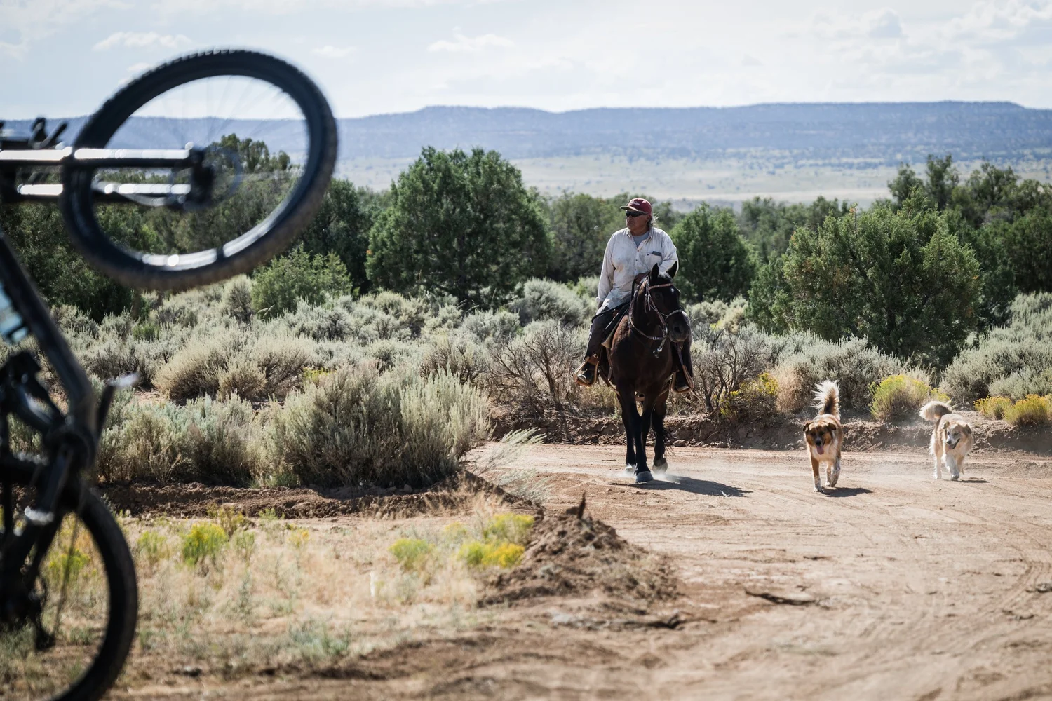 Why Mountain Biking and Trail Building Need More Races Like RezDuro ...