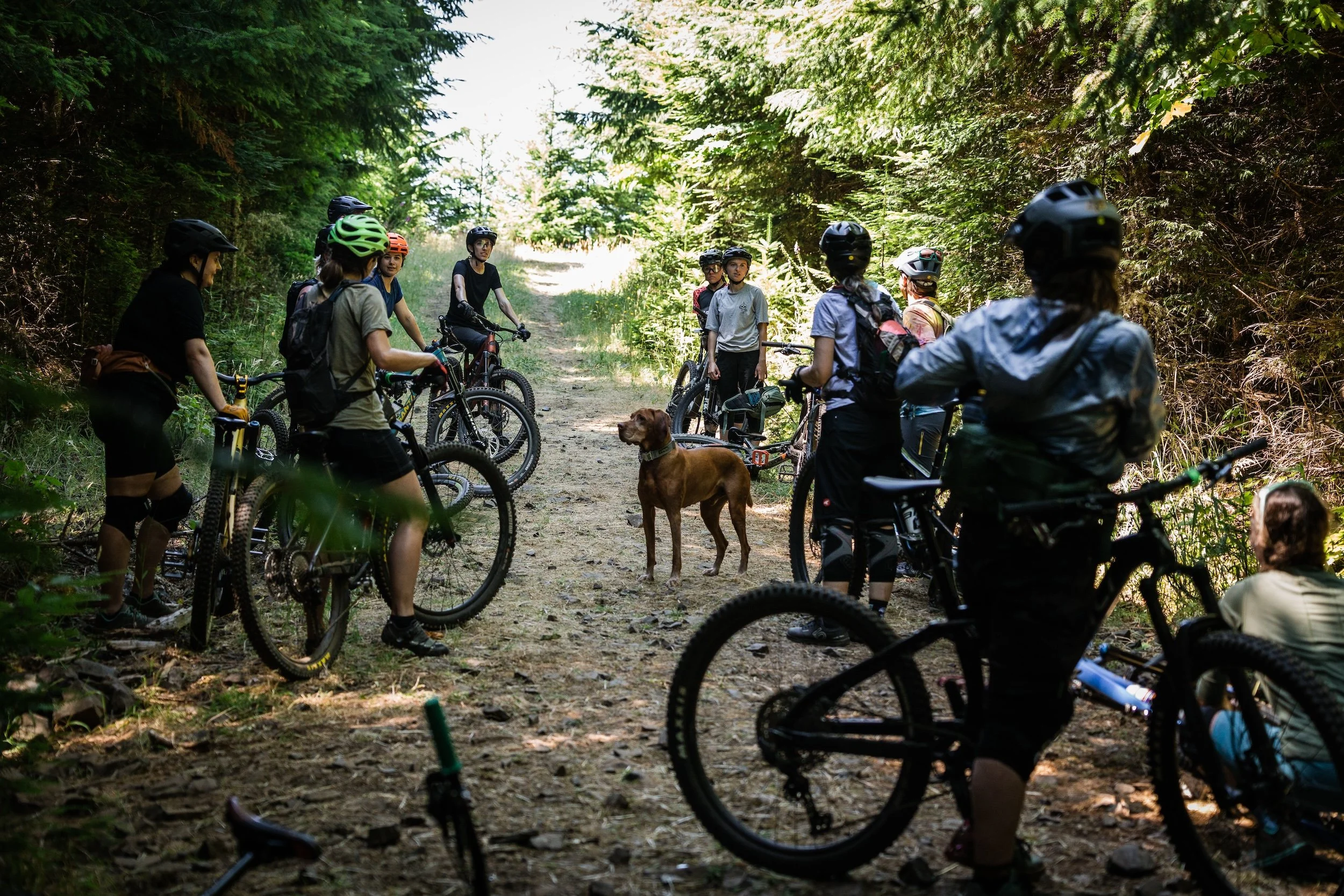 5 Ways to Grow Your Volunteer Trail Work Parties — Trail Builder Magazine