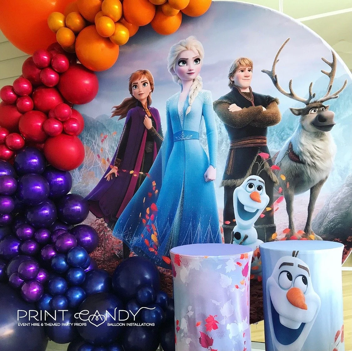 Frozen Backdrop For Hire | Brisbane and the Gold Coast — PRINT CANDY EVENTS