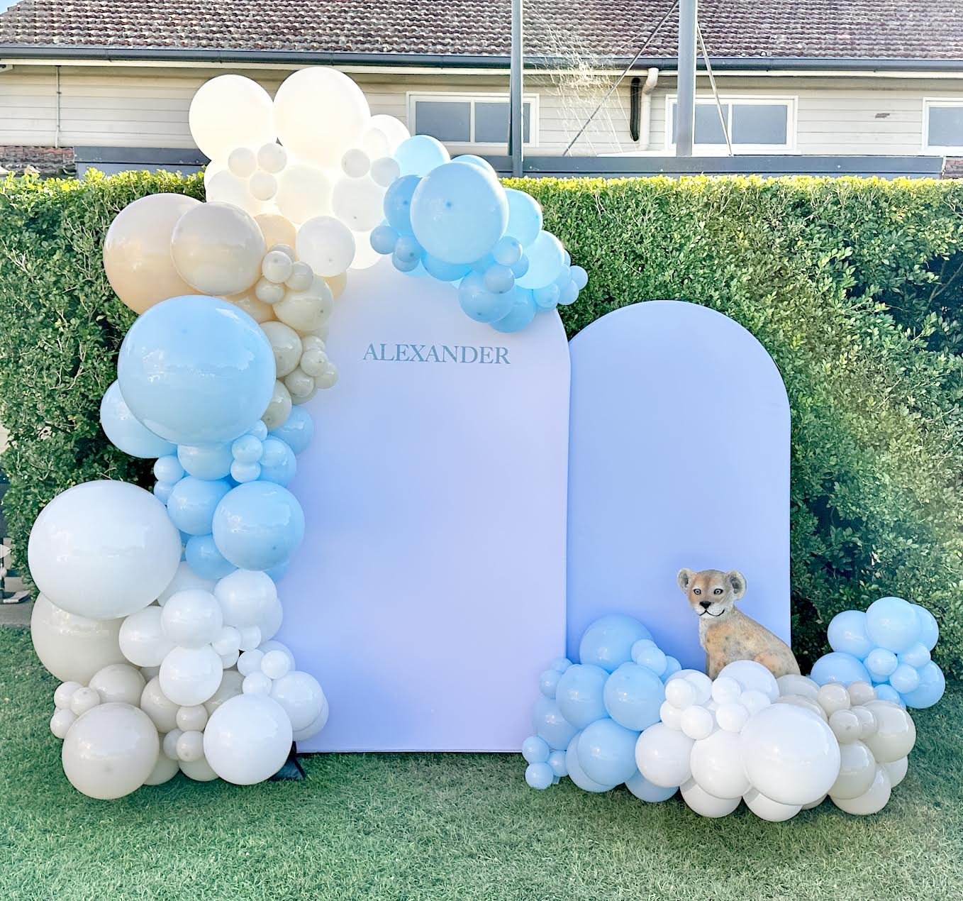 White Arch Backdrop Hire Brisbane and Gold Coast — Print Candy Event Hire