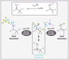 An Introduction to Enols & Enolates — Making Molecules
