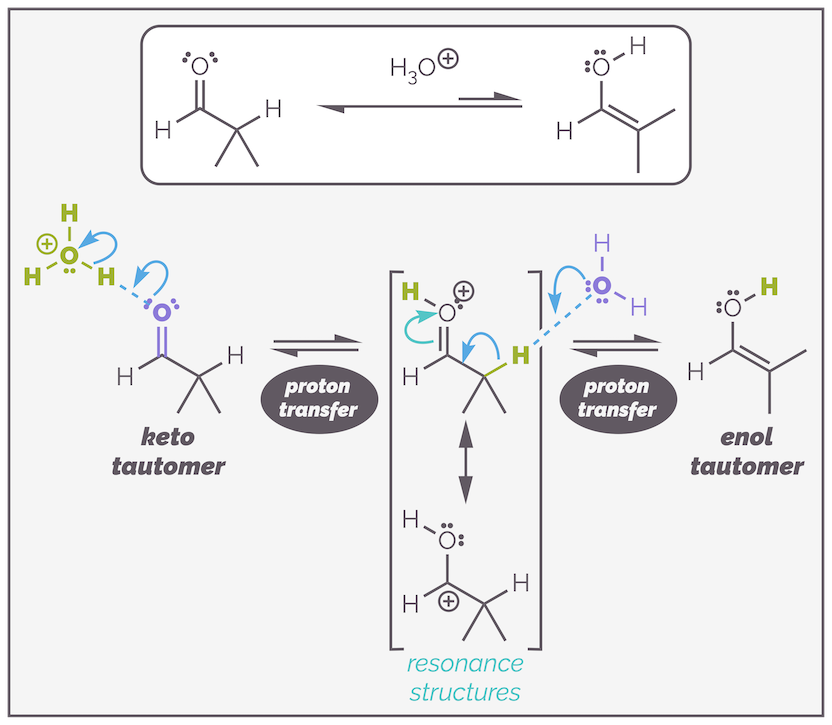 An Introduction to Enols & Enolates — Making Molecules