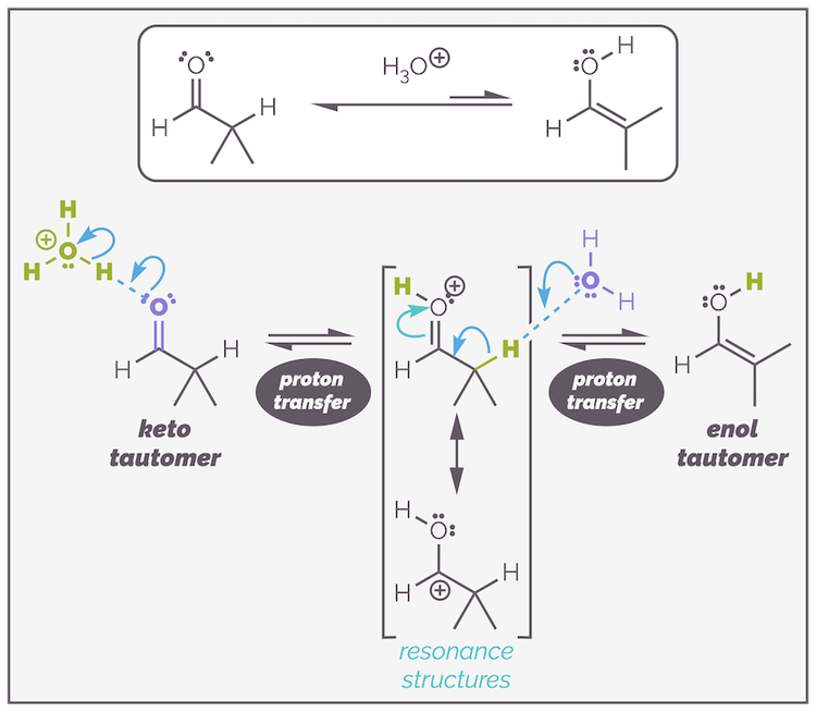 An Introduction to Enols & Enolates — Making Molecules