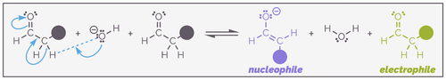 An Introduction to the Aldol Reaction (addition & condensation ...