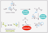 Nucleophilic Aromatic Substitution — Making Molecules