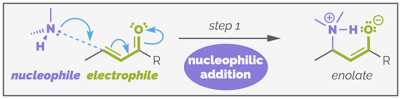 Conjugate Addition (1,4- or Michael Addition) — Making Molecules