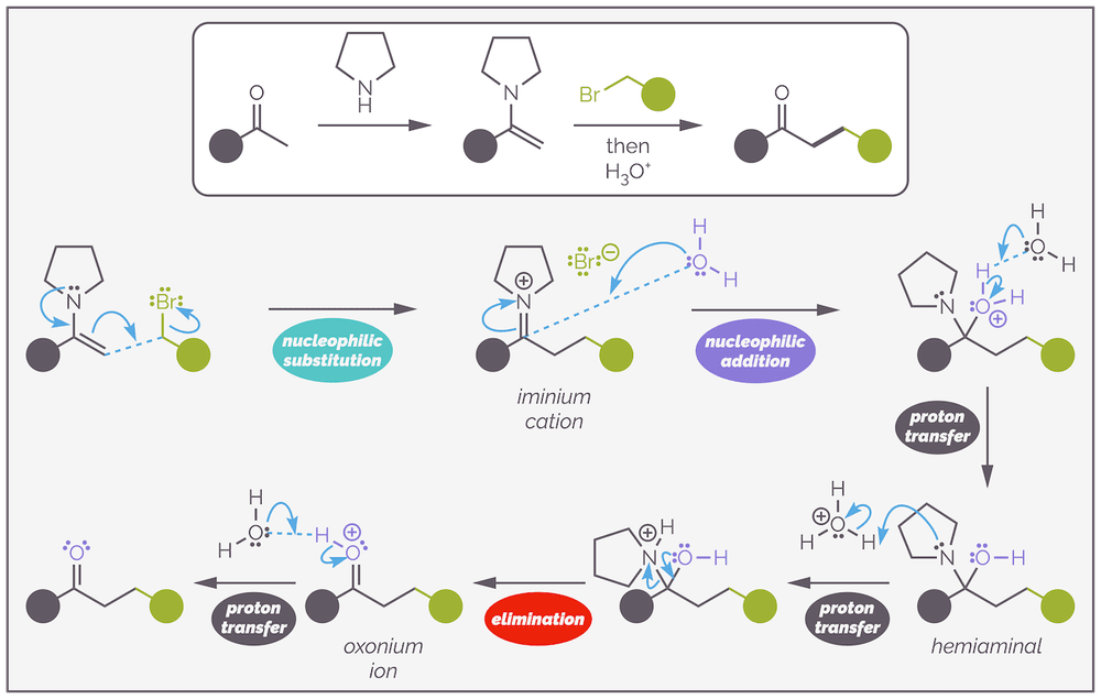 Enamines — Making Molecules