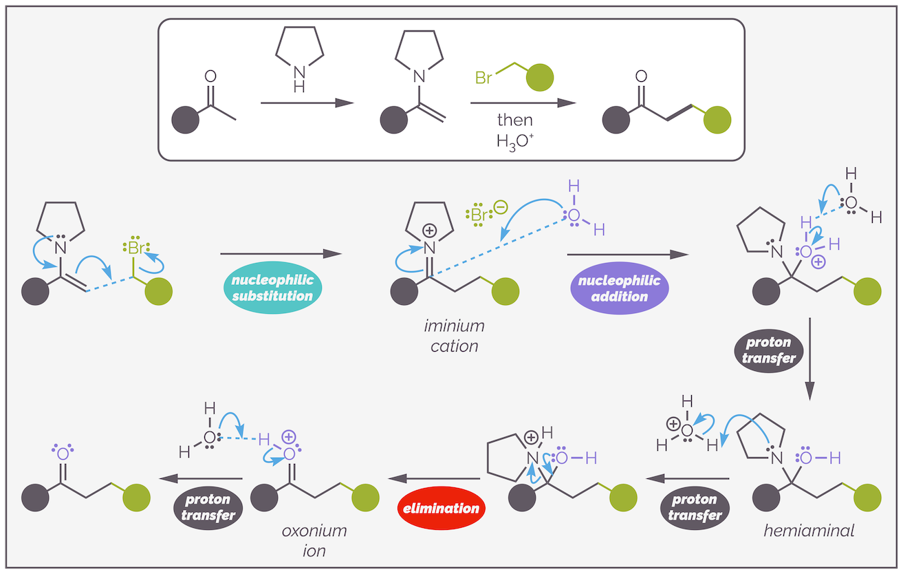Enamines — Making Molecules