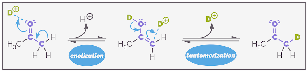 An Introduction to Enols & Enolates — Making Molecules