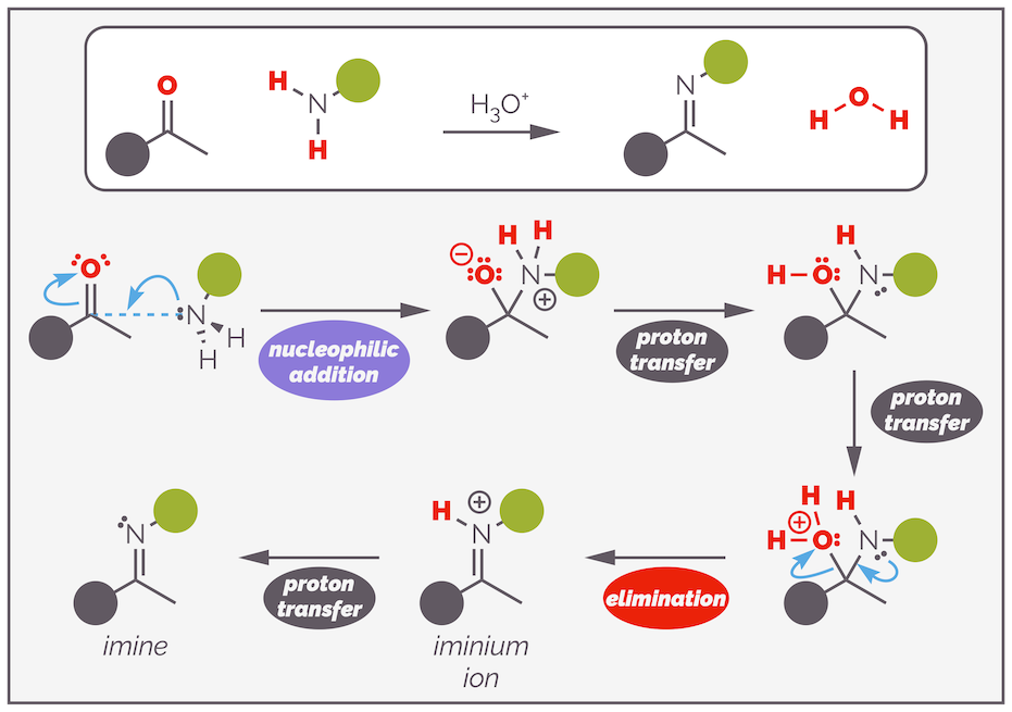 Enamines — Making Molecules