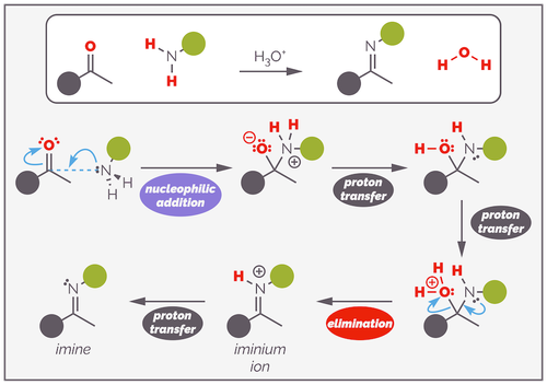 Enamines — Making Molecules